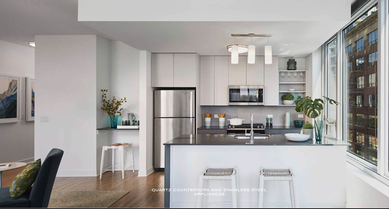 South Loop Apartment for Rent 147 | Downtown Apt Collective