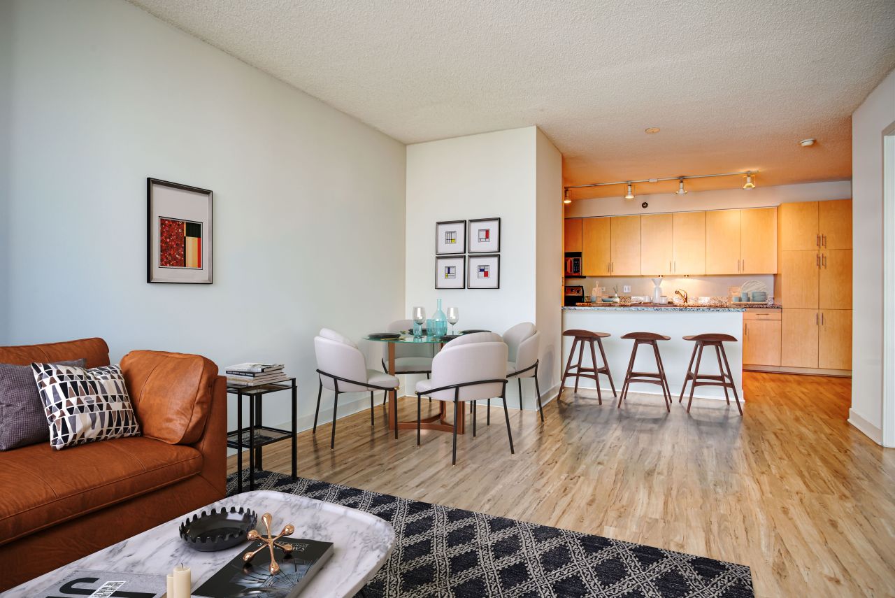 South Loop Apartment for Rent 19 | Downtown Apt Collective